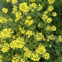 【川越市】大好きな音楽で地域の人を笑顔に！NPO法人ストロベリーハートが支援「いちごコンサート」（nina） - エキスパート - Yahoo!ニュース